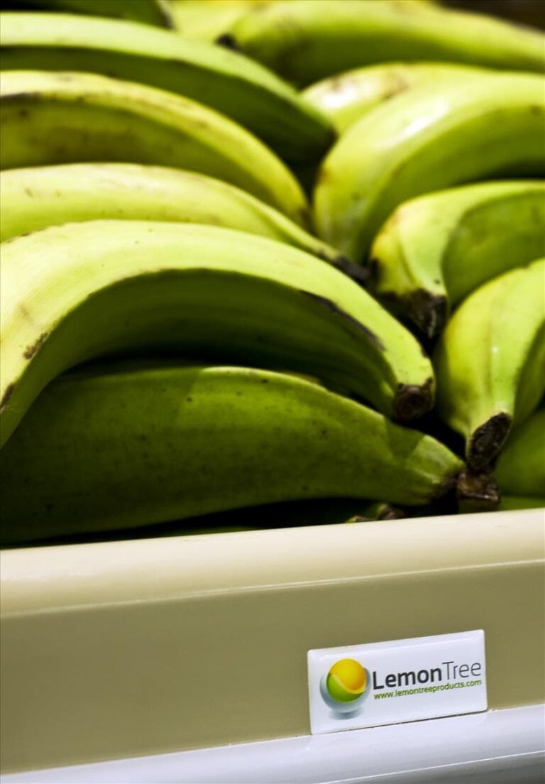 Check Out Our Produce Display Gallery | LemonTree Products